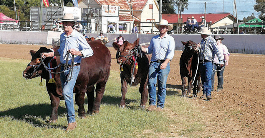 2021 Grafton Show showed us what we've been missing I Australian Rural ...