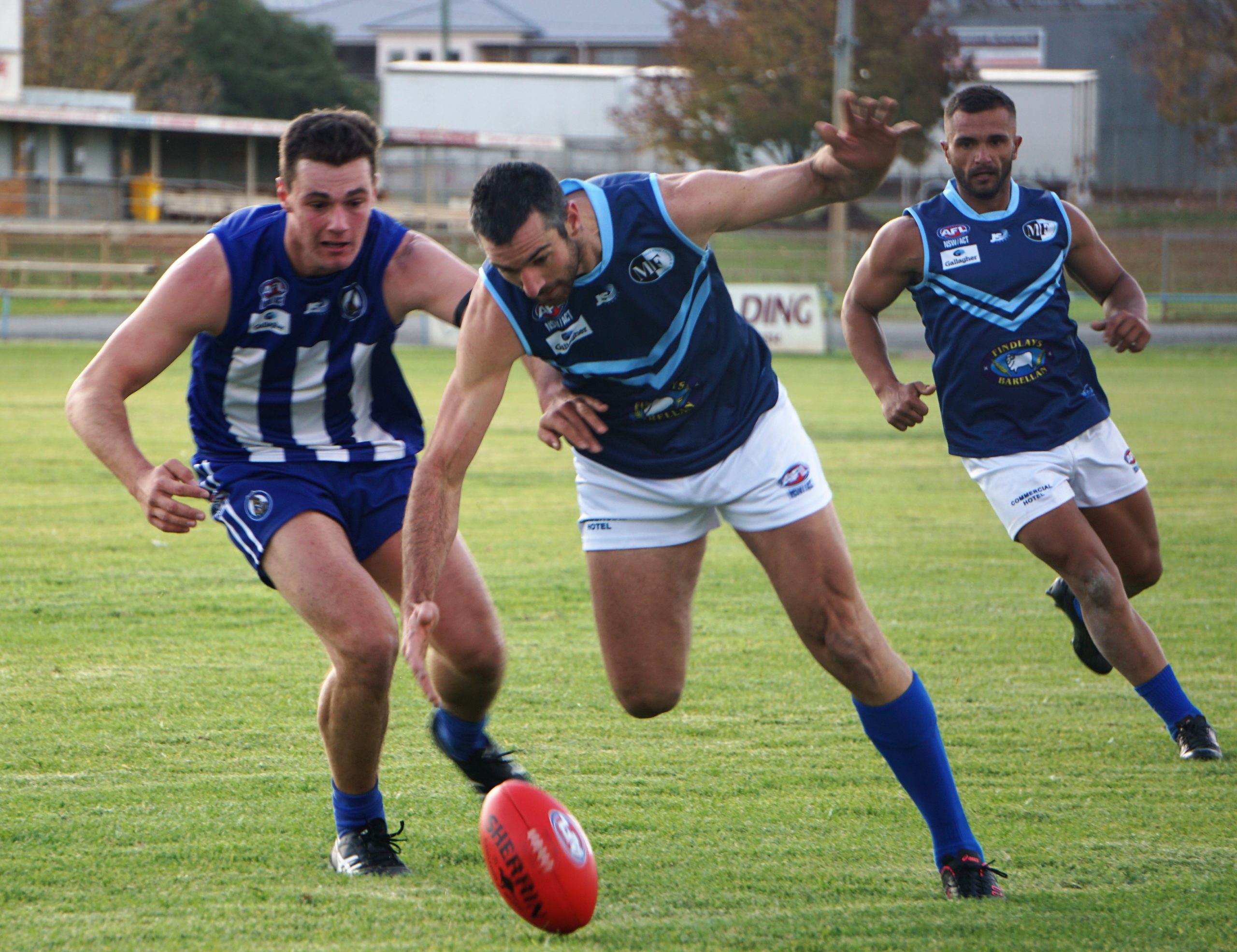 Fight in the Blues I Australian Rural & Regional News