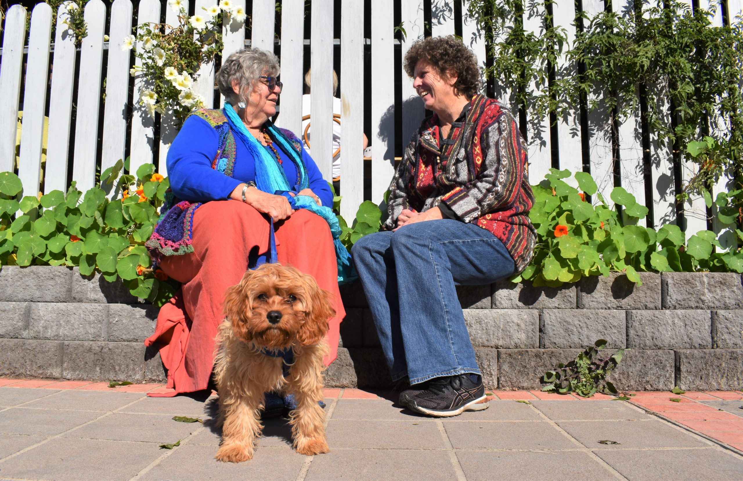 A safe place to stay I Australian Rural & Regional News