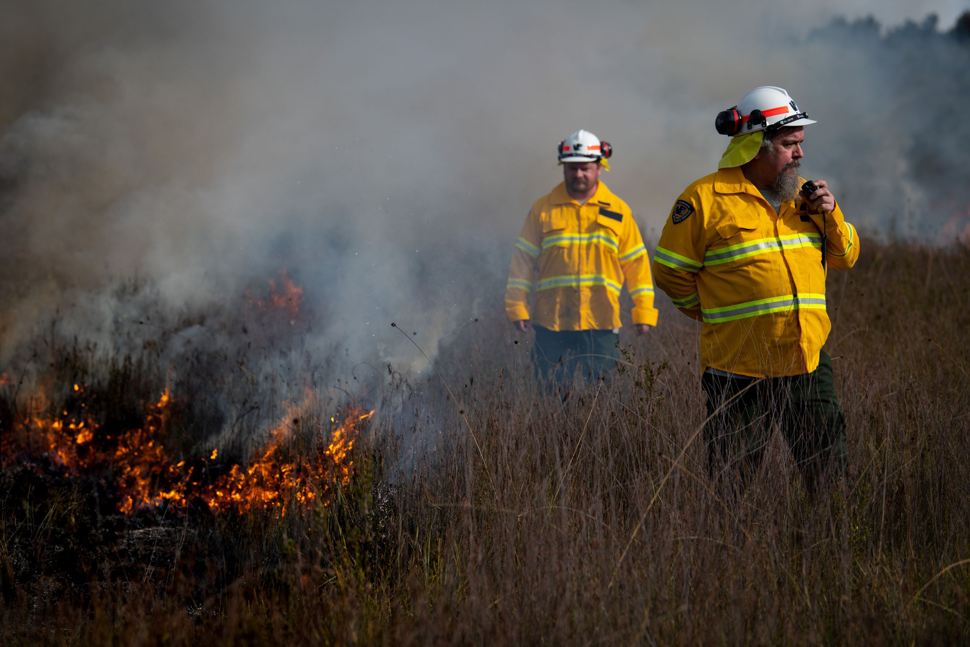 Aboriginal Fire Rangers commence new burning program I Australian Rural ...