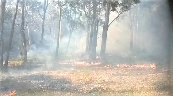 Effective low intensity burning - barriers and opportunities: John O ...