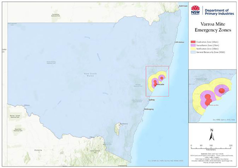 New biosecurity zone set up for varroa mite I Australian Rural ...