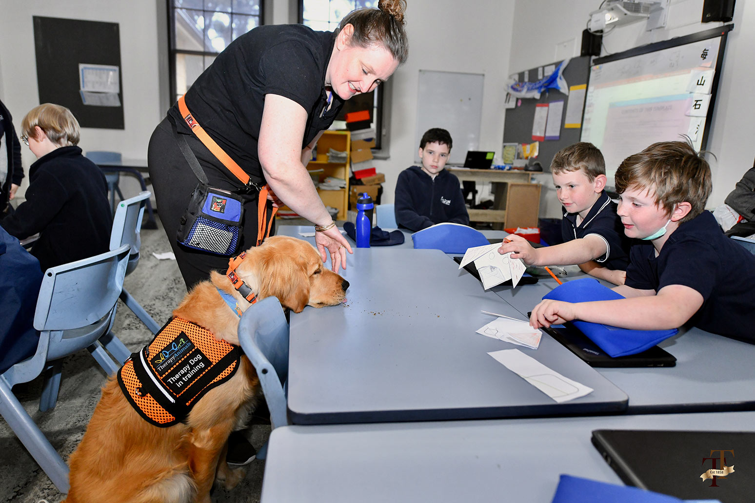 PAWS in Schools I Australian Rural & Regional News