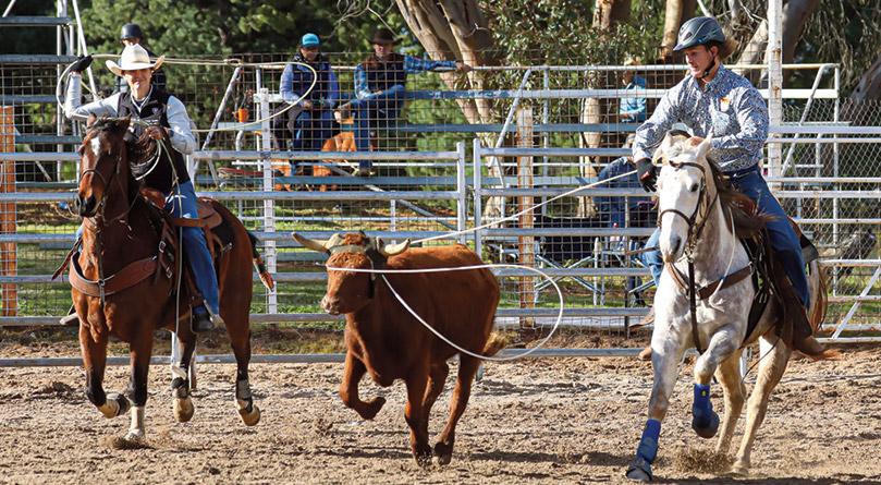 Bidgee Big Bash Jackpot returns to Narrandera I Australian Rural ...