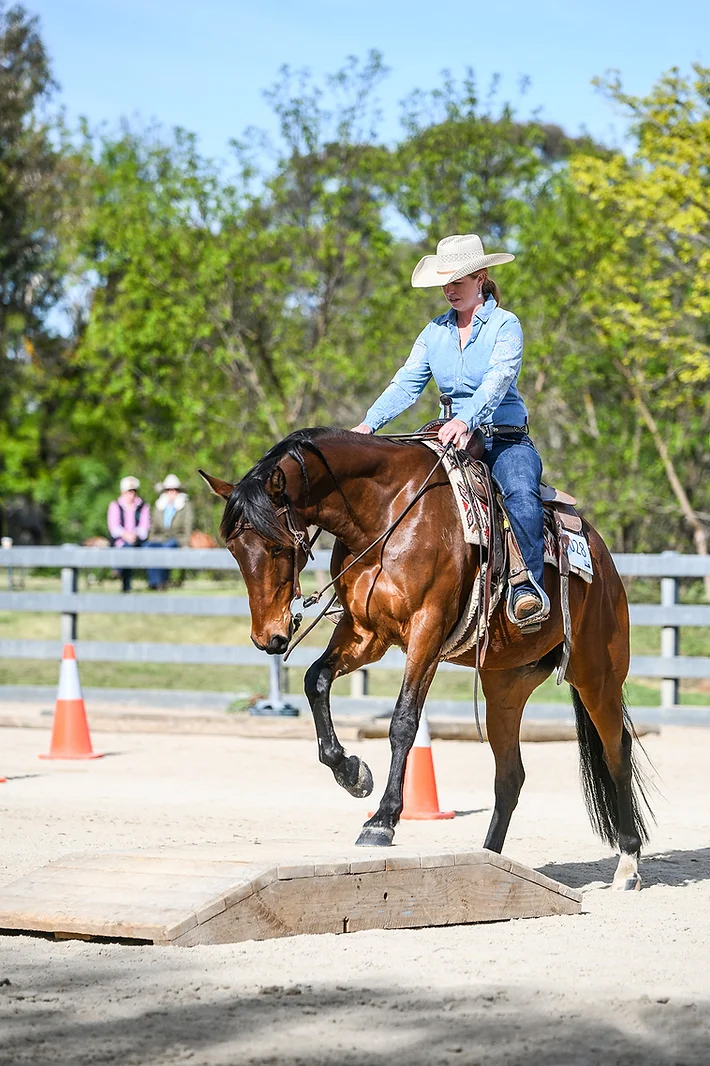 Versatility show a first for ranch riders at Benalla I Australian Rural ...