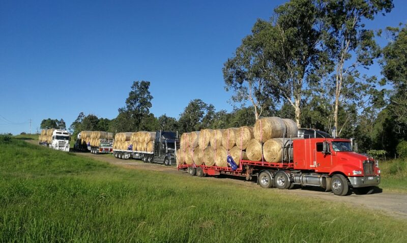 Aussie Hay Runners make hay-raising return I Australian Rural ...