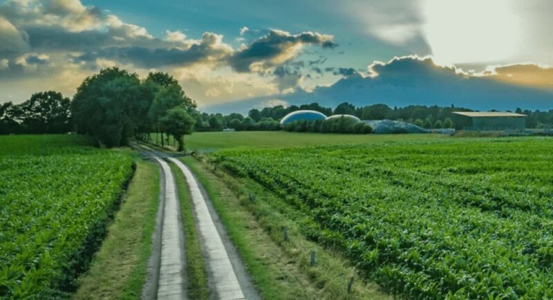 The future is nearly here with biohub expected to be built by 2025 I Australian Rural & Regional ...