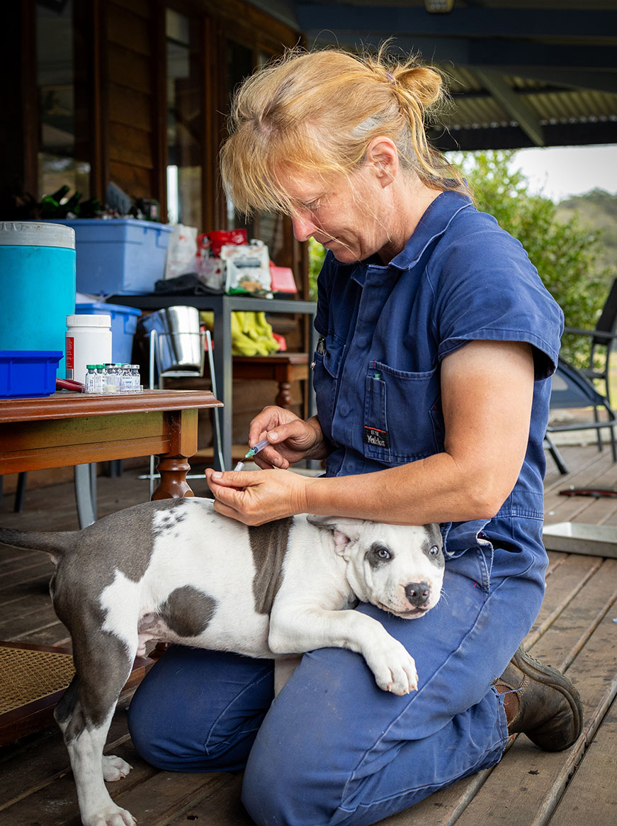A day in the life of ... Dr Lisa Clarke, The Roving Vet I Australian ...