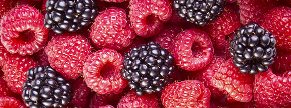 Strengthening the sustainability of Rubus Berry production (RB22001 ...