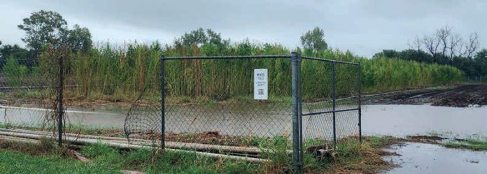Hemp defies cyclone's big blow I Australian Rural & Regional News