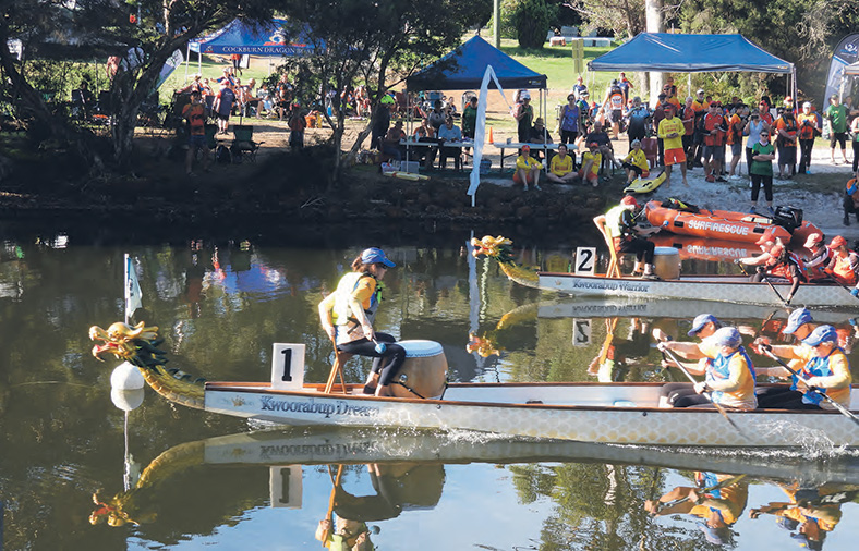 Fast, fierce competition in dragon boats regatta I Australian Rural ...