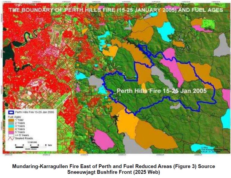 Town and city bushfire protection case studies from Australia and the ...