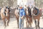 Heavy horses set world record at Barellan Good Old Days Festival I ...