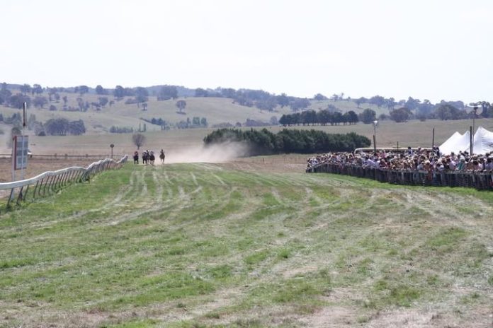 Binda Picnic Races, 14 March 2026 I Australian Rural & Regional News