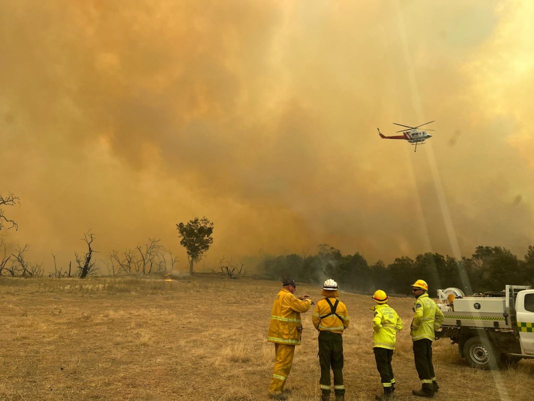 Forestry sends firefighters to South Australia after Victorian ...